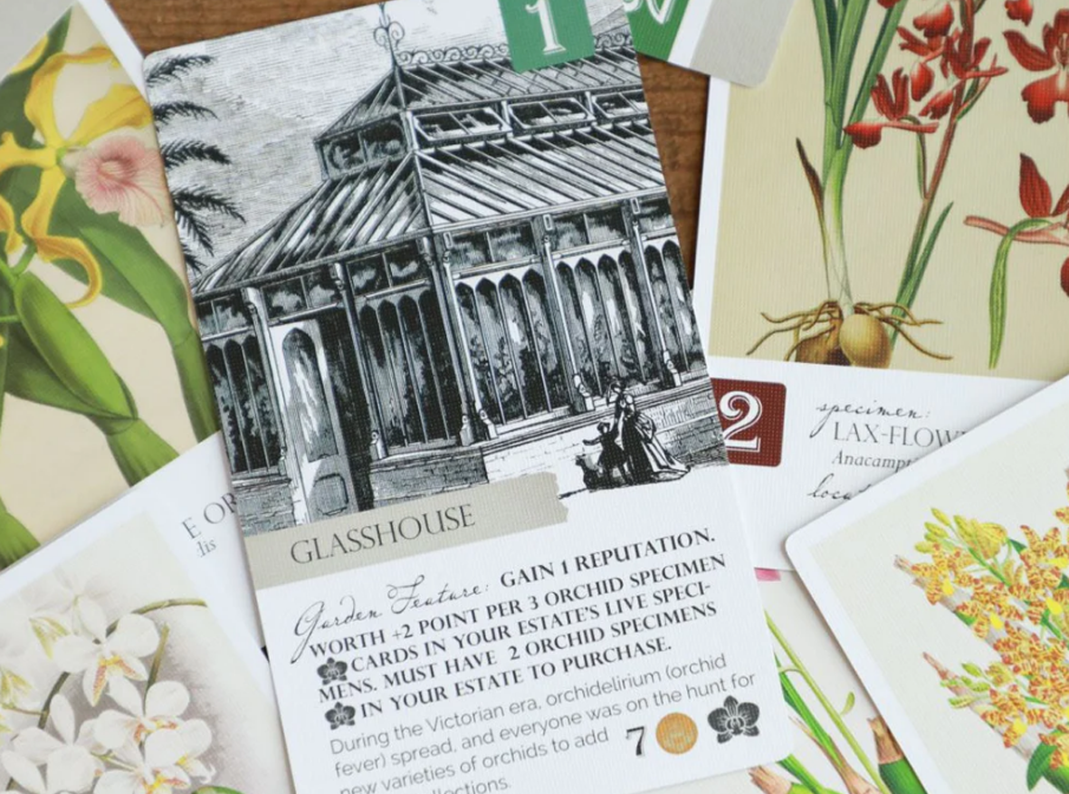 Botany – Ossessione di Orchidee espansione con specimen condivisi ...